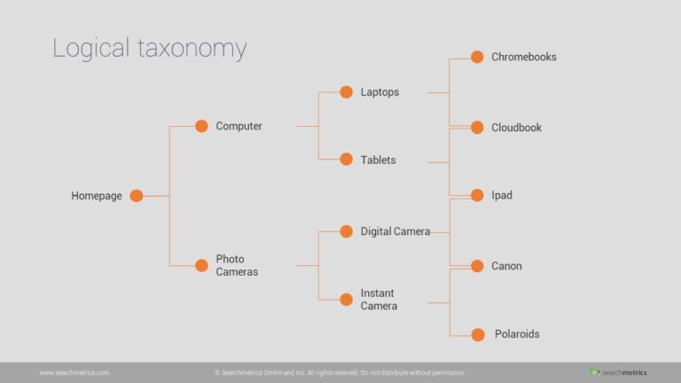 What are Amazon store taxonomy & organization & How It Applies